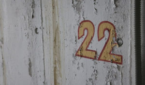 Número 22: quais são os seus significados? - Os Números