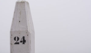 Número 24: quais são os seus significados? - Os Números