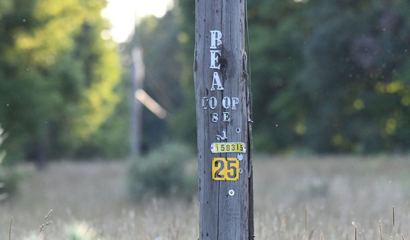 Número 25: significados e influências na Numerologia